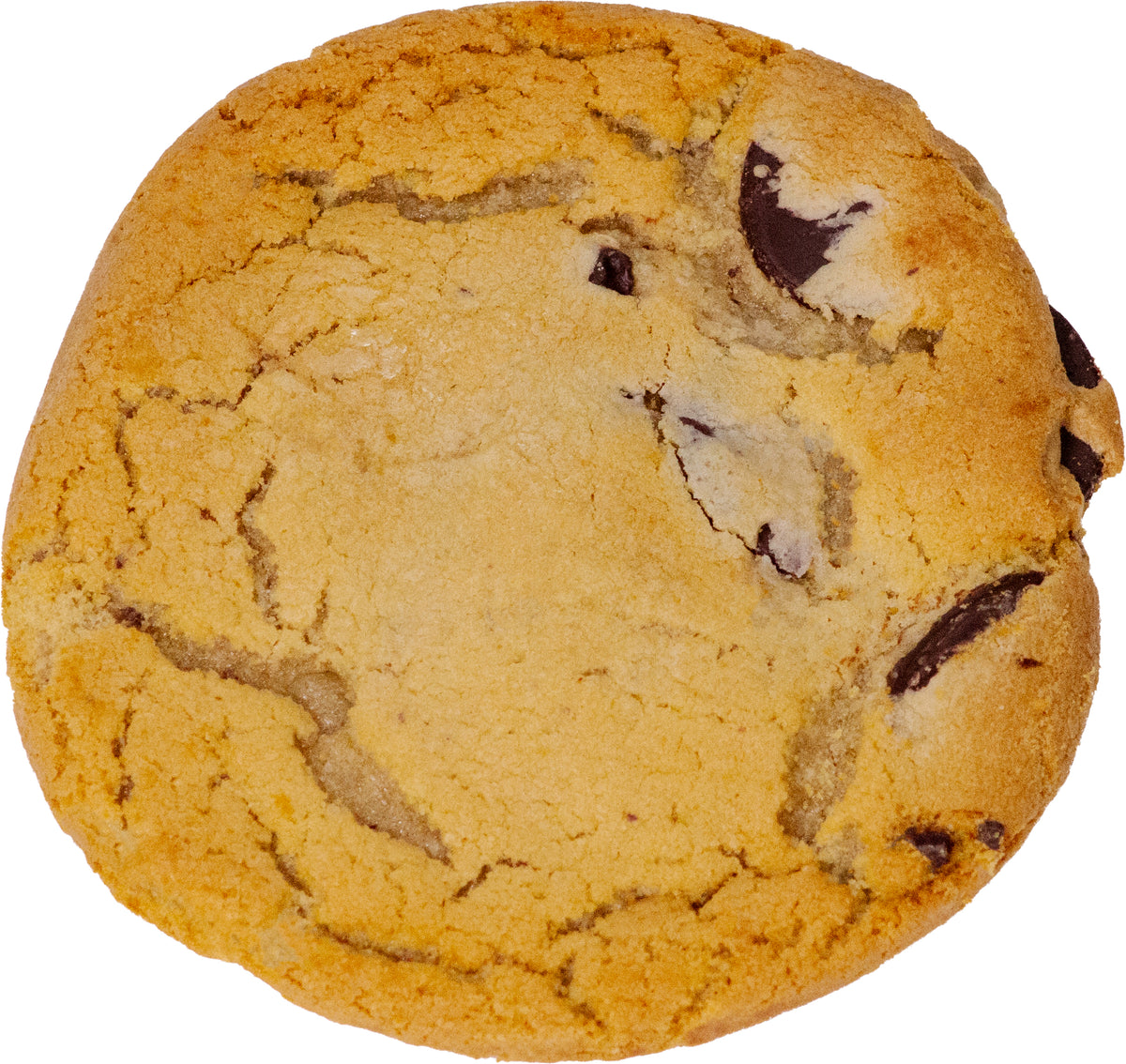 Down Home Cookies Chocolate Chunk | Prairie City Bakery